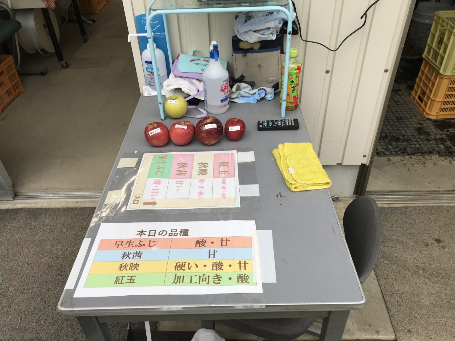 【佐賀市三瀬村のまるじゅんリンゴ園】りんご狩り体験レビュー | Satoki.net